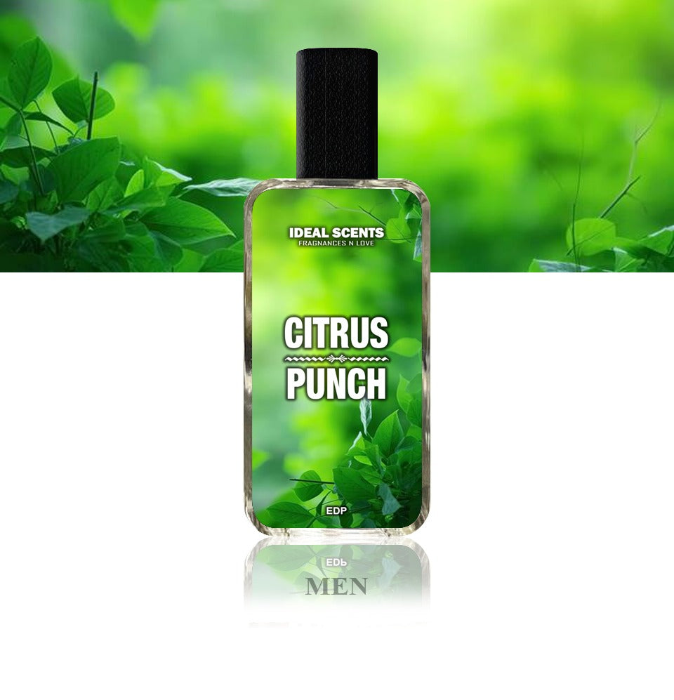 Citrus Punch Fragrance | 50ml | Inspired by Aventus Creed | Long Lasti ...