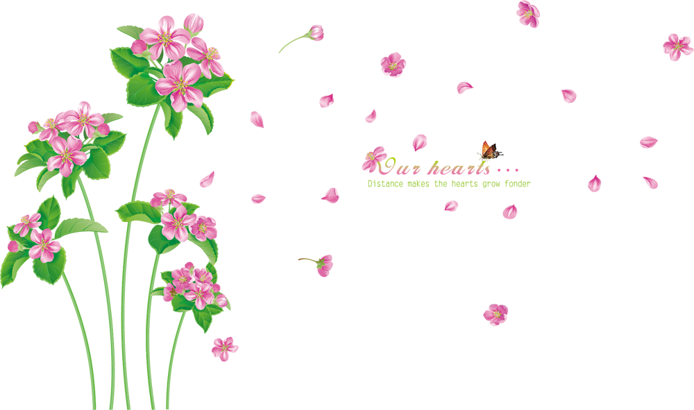 Wall Sticker XL-8136 – Loto.pk
